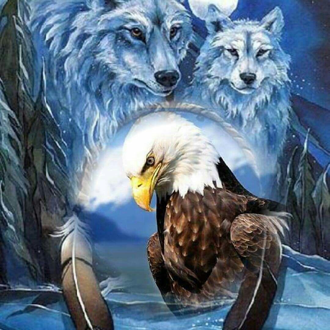 Wolf and Eagle Wallpapers - Top Free Wolf and Eagle Backgrounds ...