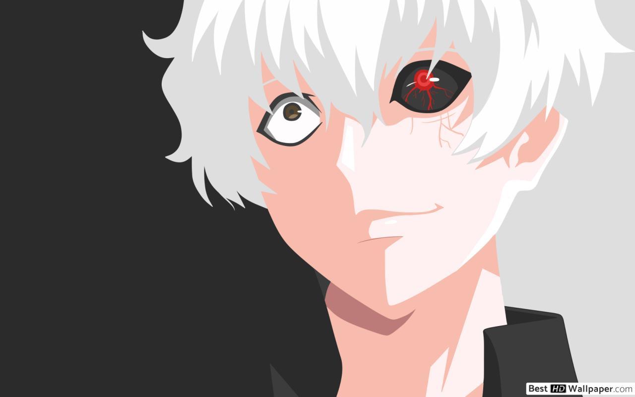 Haise Tokyo Ghoul Wallpapers - Top Free Haise Tokyo Ghoul Backgrounds ...