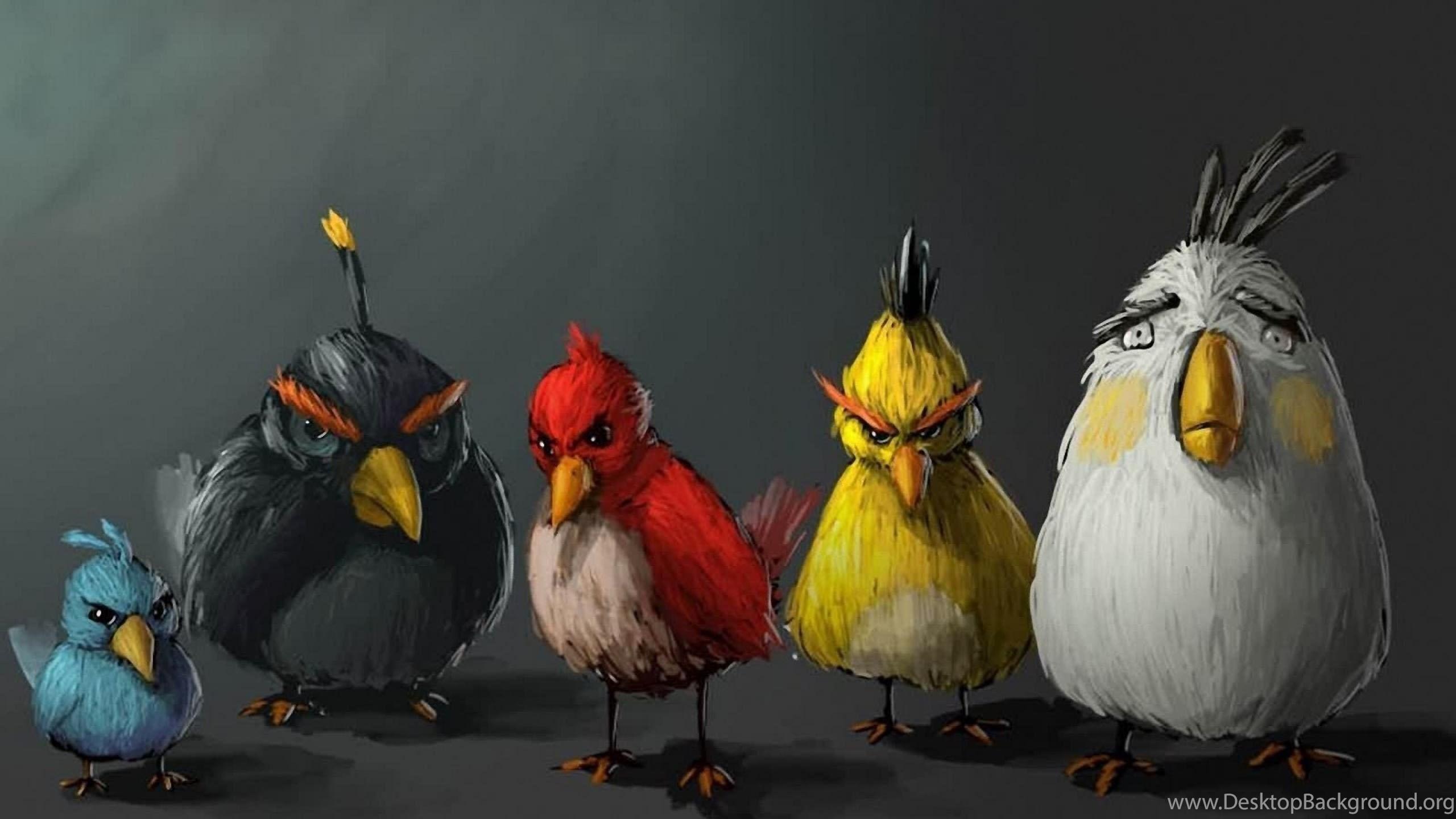 Cool Birds Wallpapers - Top Free Cool Birds Backgrounds - WallpaperAccess