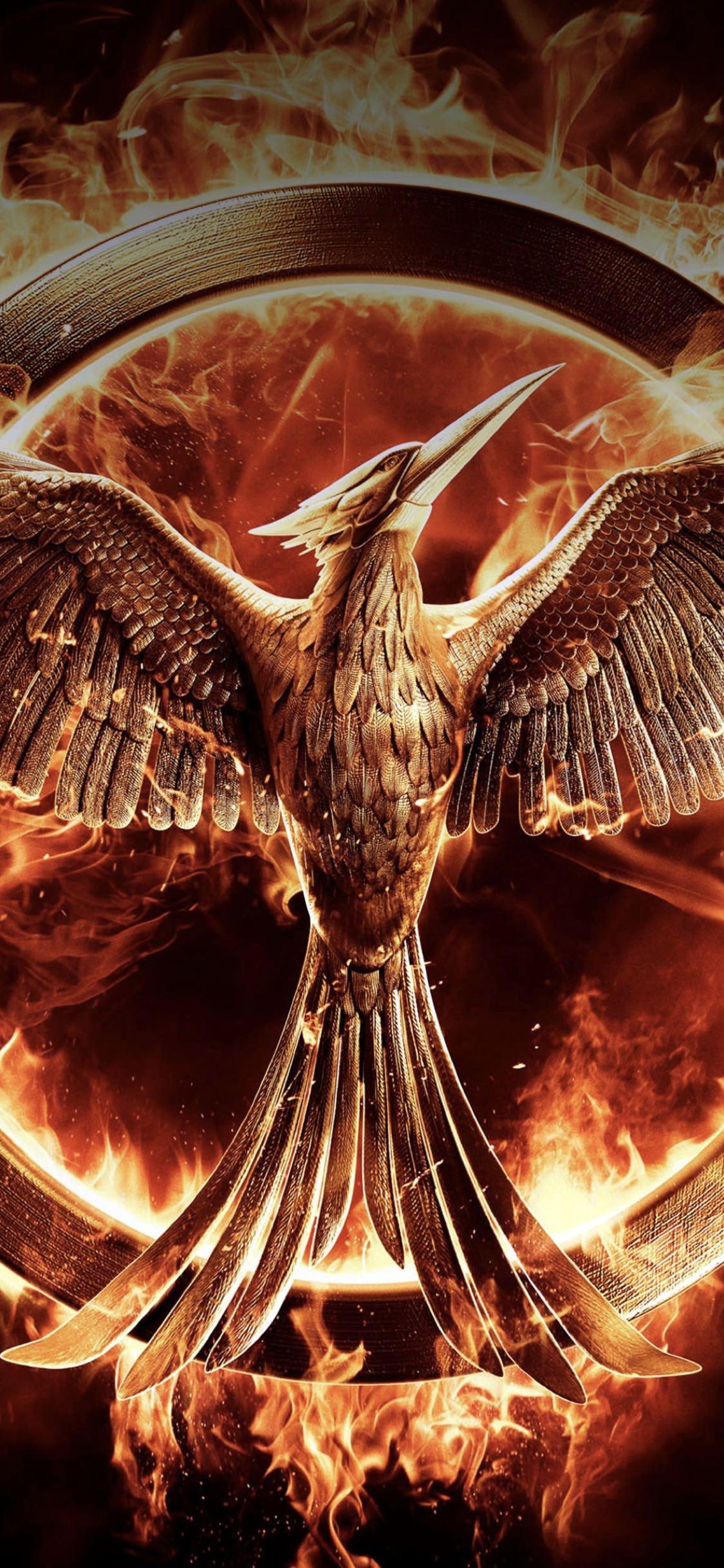 Cool Birds Wallpapers - Top Free Cool Birds Backgrounds - WallpaperAccess