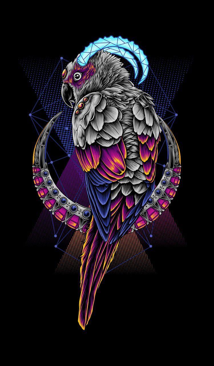 Cool Birds Wallpapers - Top Free Cool Birds Backgrounds - WallpaperAccess