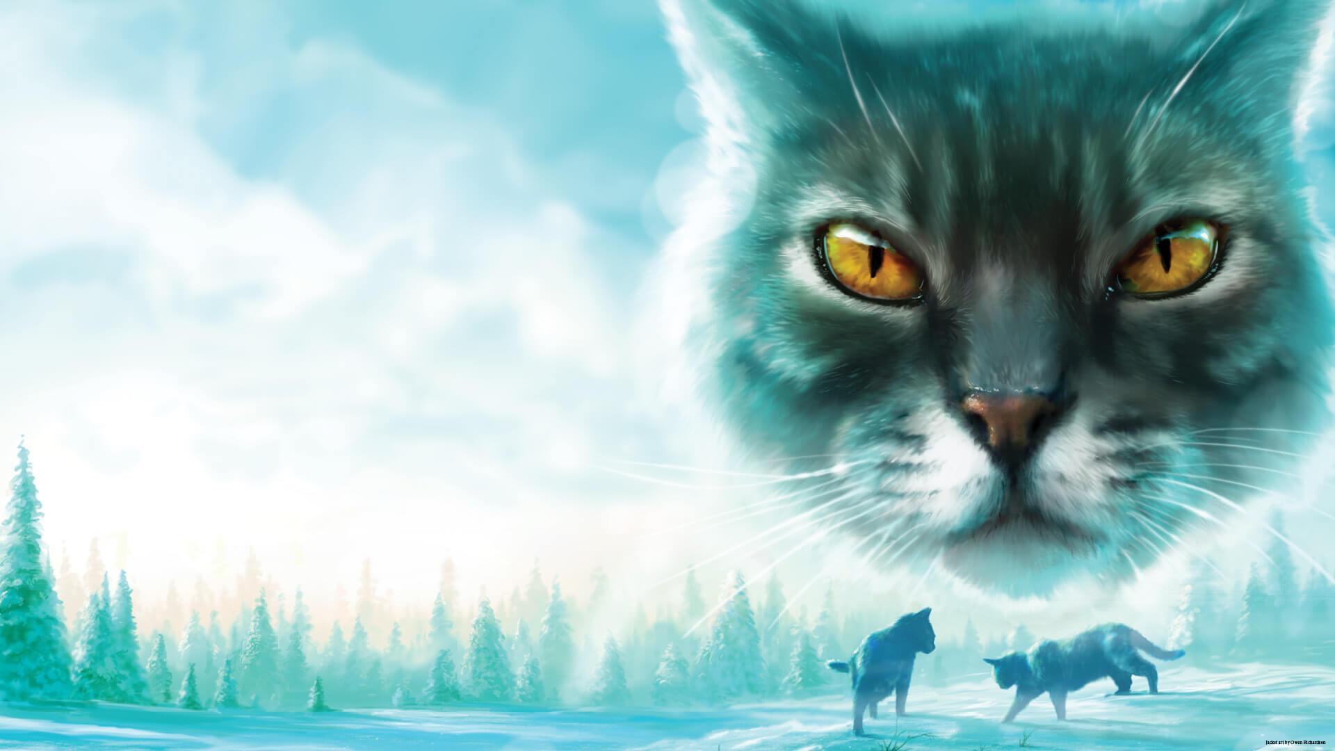 Warriors Cat Wallpapers - Top Free Warriors Cat Backgrounds ...