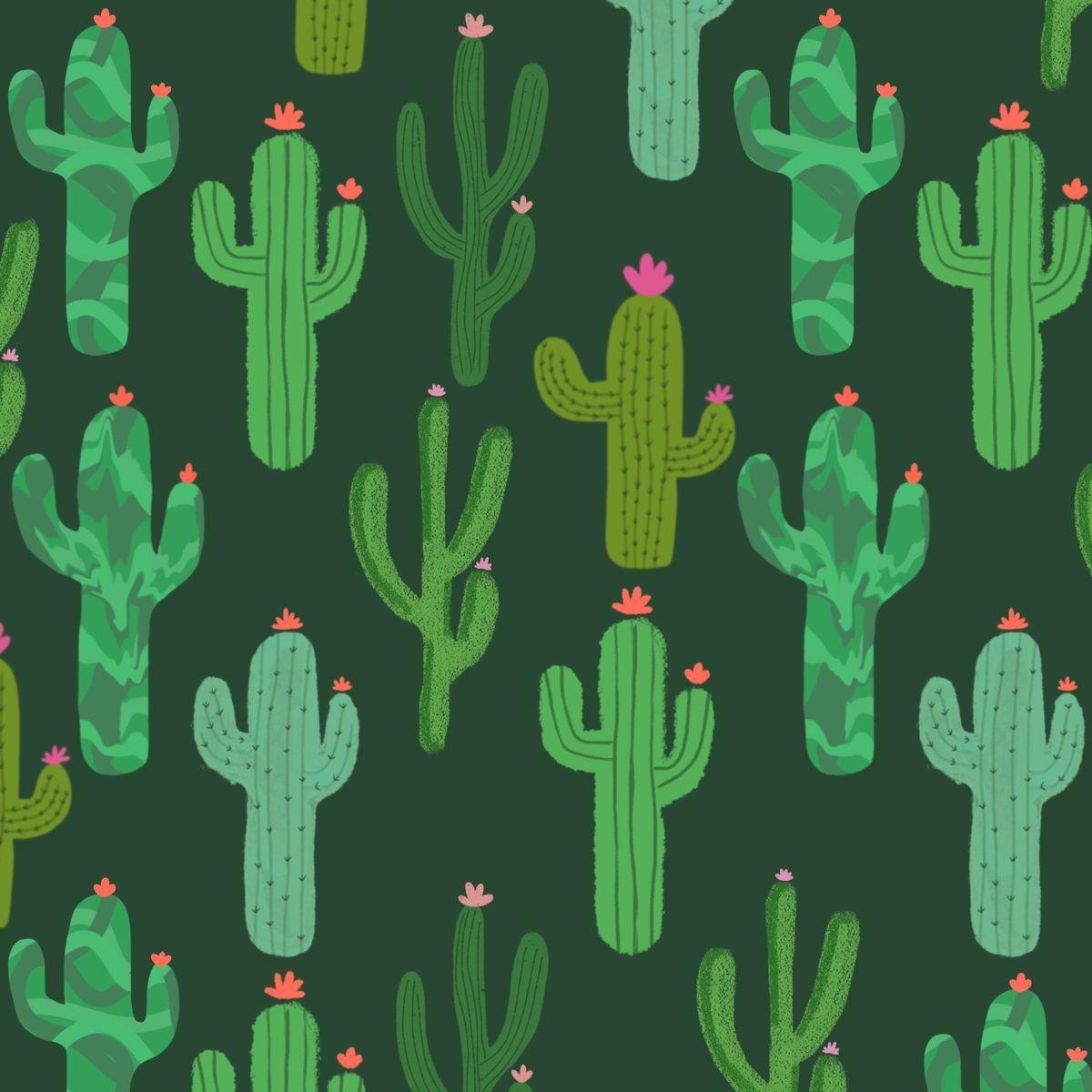 Green Cactus Wallpapers - Top Free Green Cactus Backgrounds ...