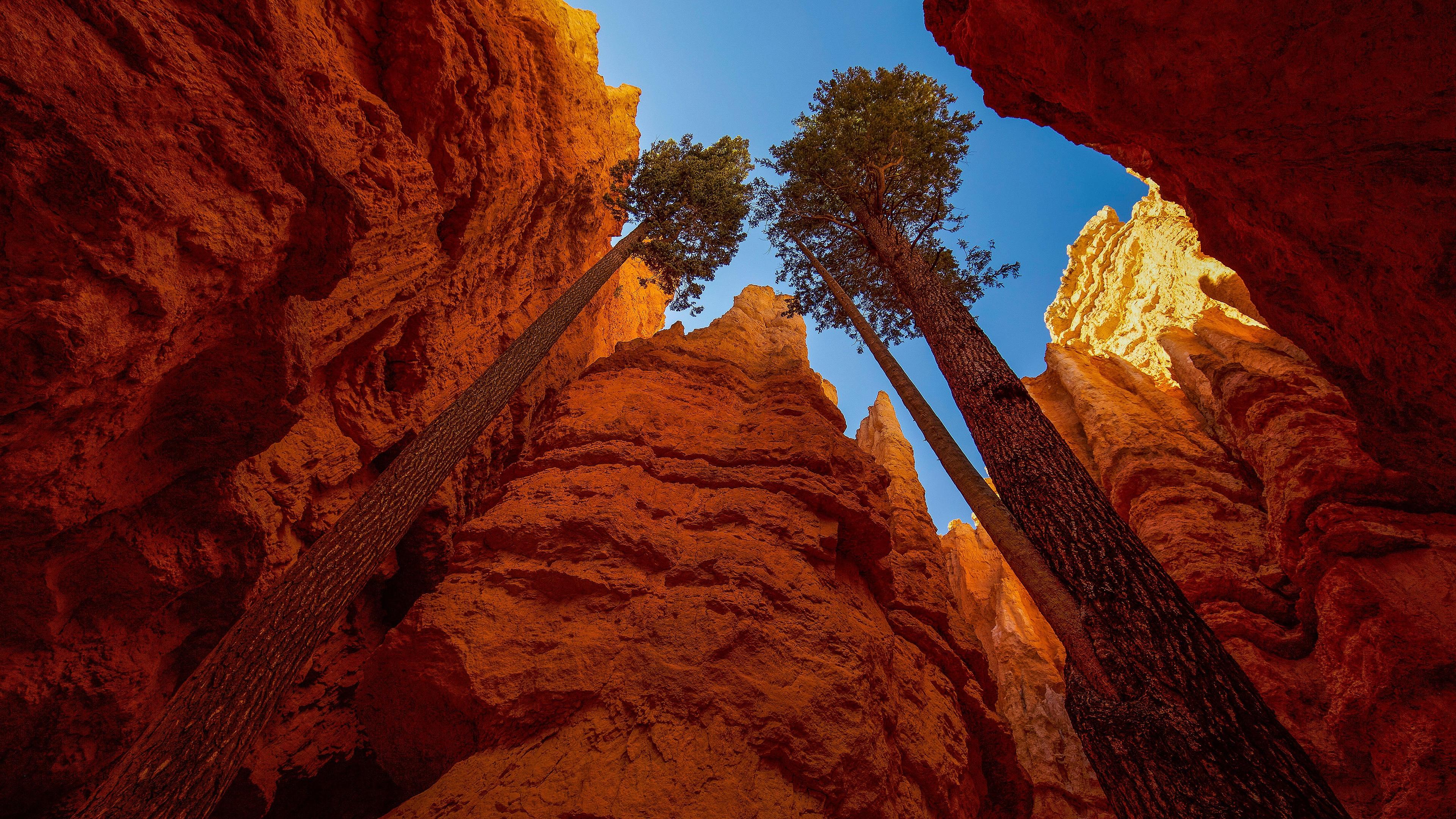 Bryce Canyon National Park Wallpapers - Top Free Bryce Canyon National ...