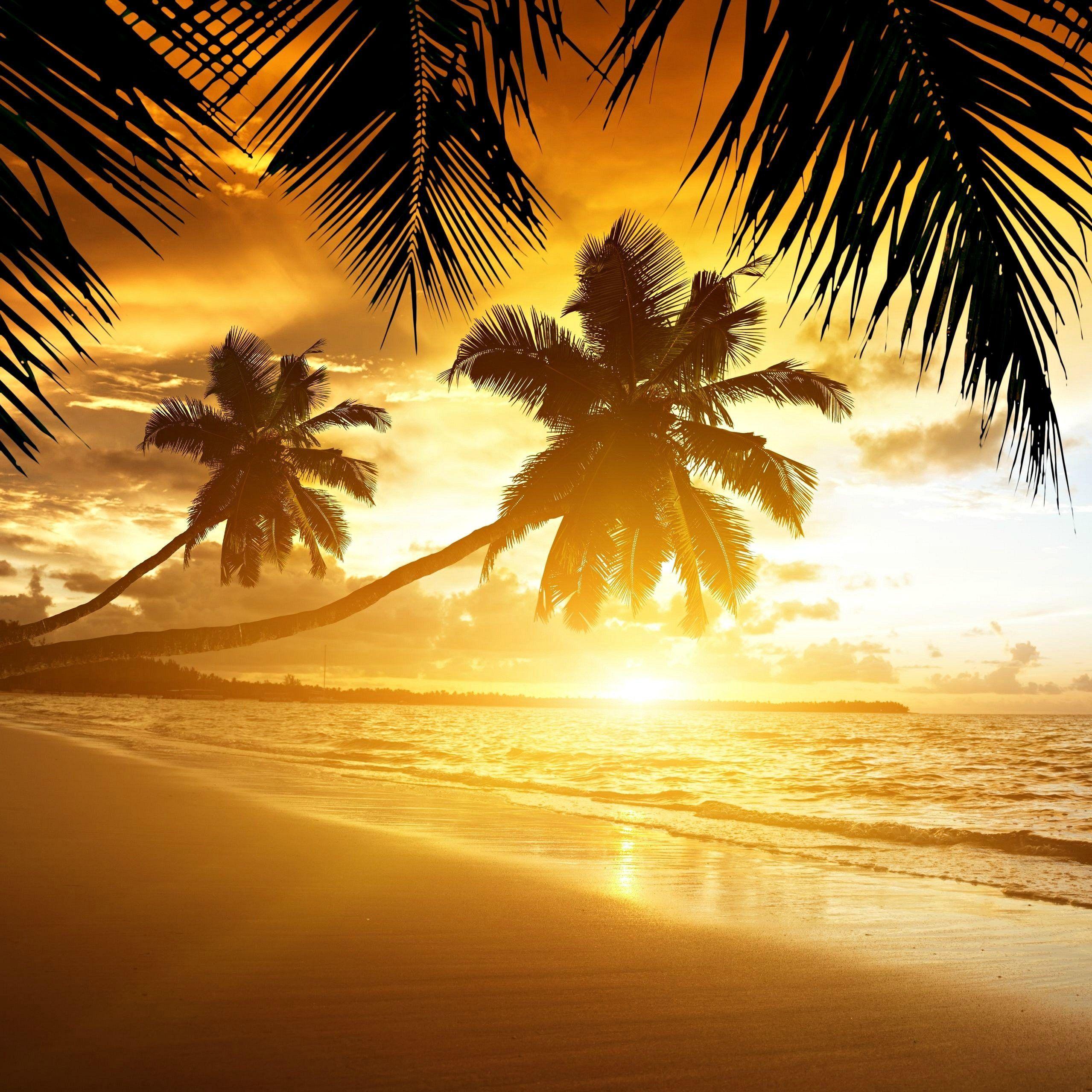 Caribbean Beach Sunset Wallpapers - Top Free Caribbean Beach Sunset ...