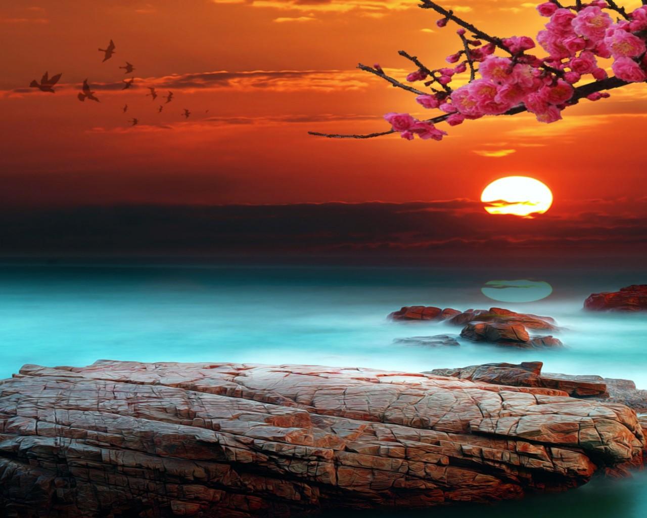 Caribbean Beach Sunset Wallpapers - Top Free Caribbean Beach Sunset ...