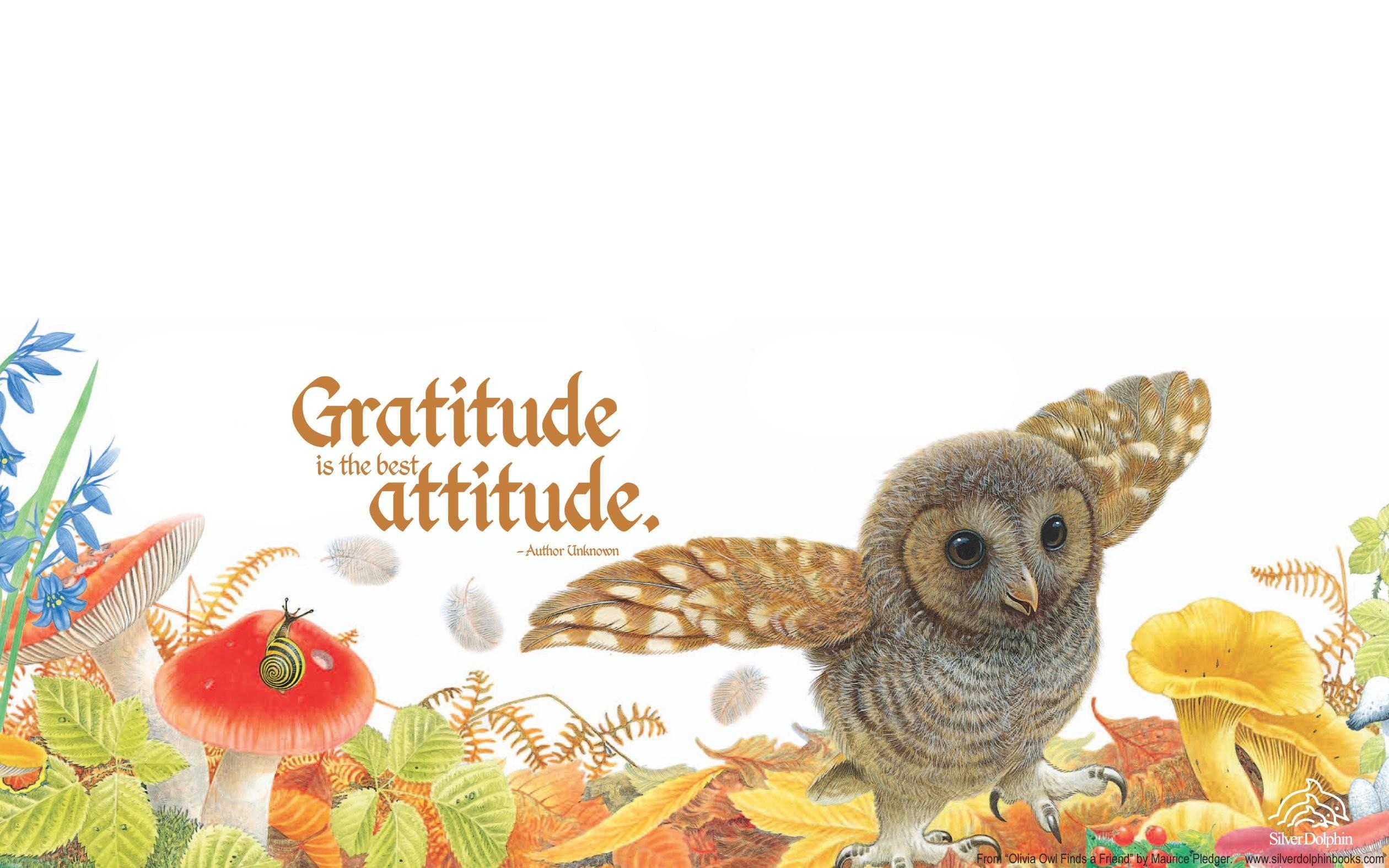Gratitude Desktop Wallpapers - Top Free Gratitude Desktop Backgrounds ...