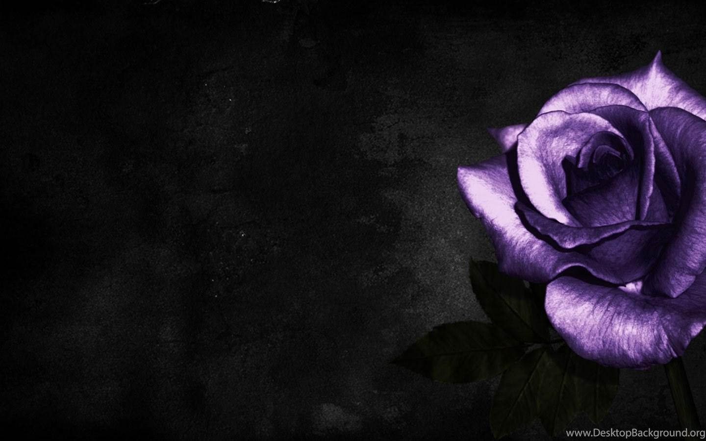 Dark Purple Desktop Wallpapers - Top Free Dark Purple Desktop ...