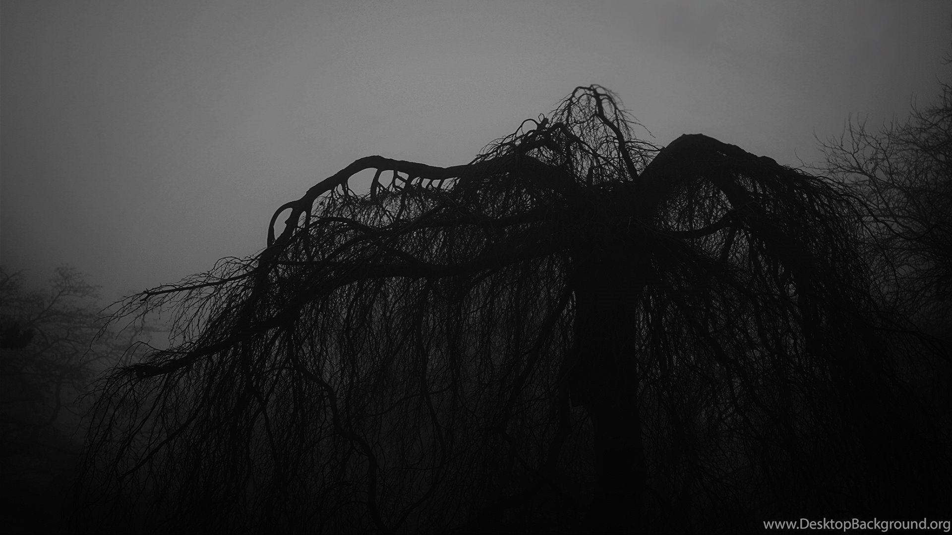 Dark Mist Wallpapers - Top Free Dark Mist Backgrounds - WallpaperAccess