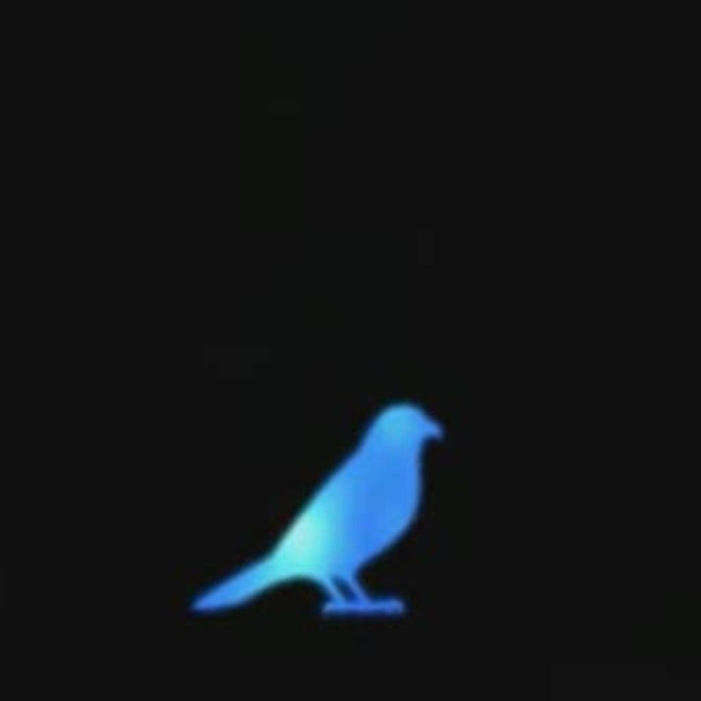 Blue Bird Naruto Wallpapers - Top Free Blue Bird Naruto Backgrounds ...