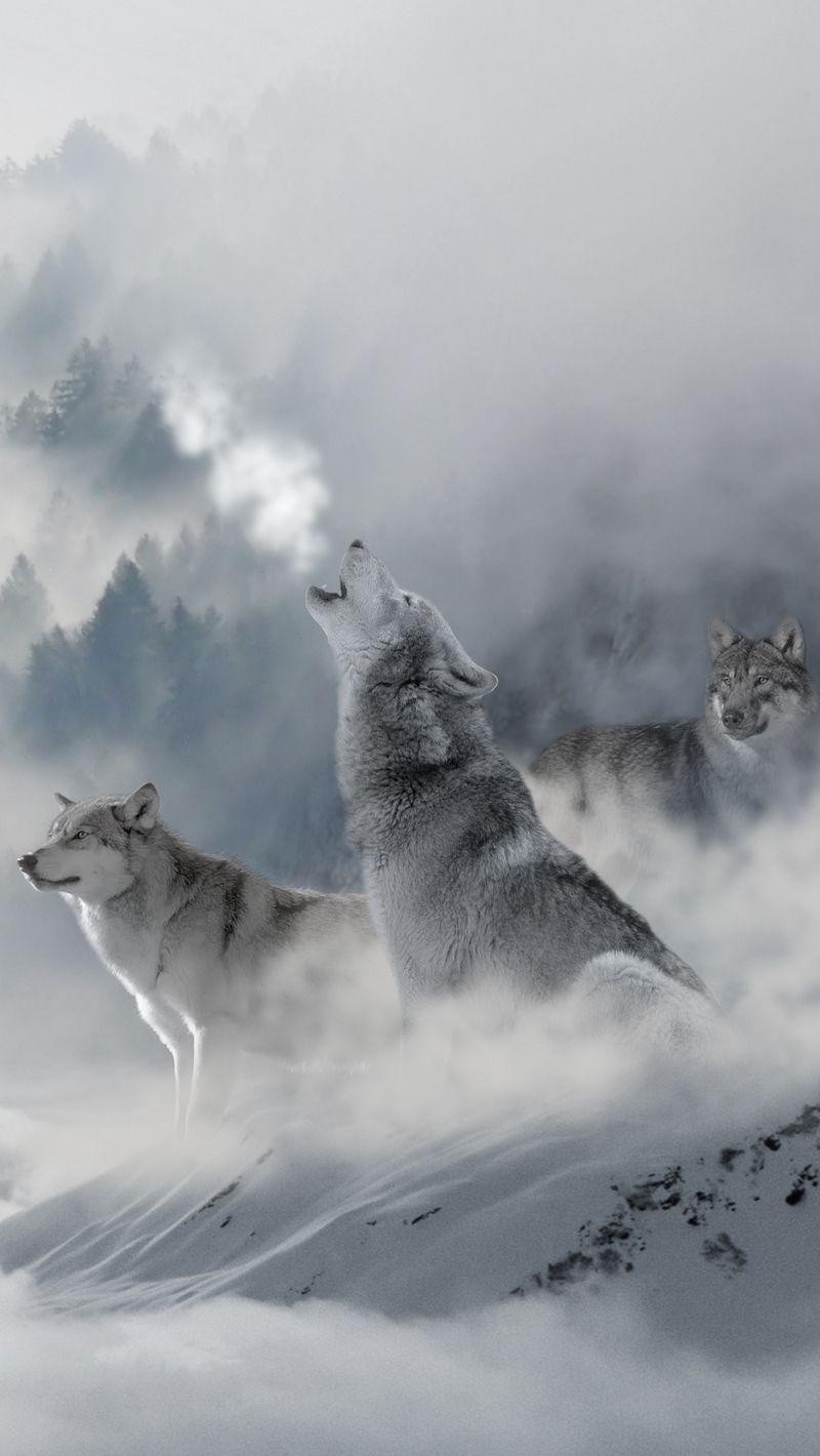 Wolves iPhone Wallpapers - Top Free Wolves iPhone Backgrounds - WallpaperAccess