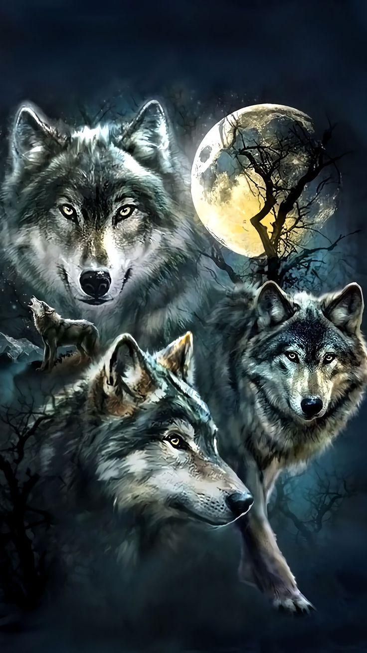 Wolves iPhone Wallpapers - Top Free Wolves iPhone Backgrounds ...