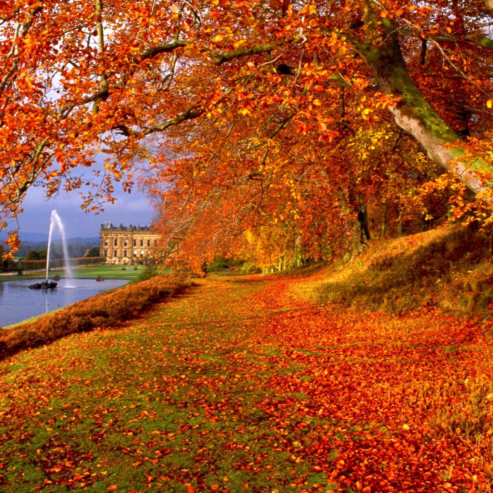 Autumn France Wallpapers - Top Free Autumn France Backgrounds ...