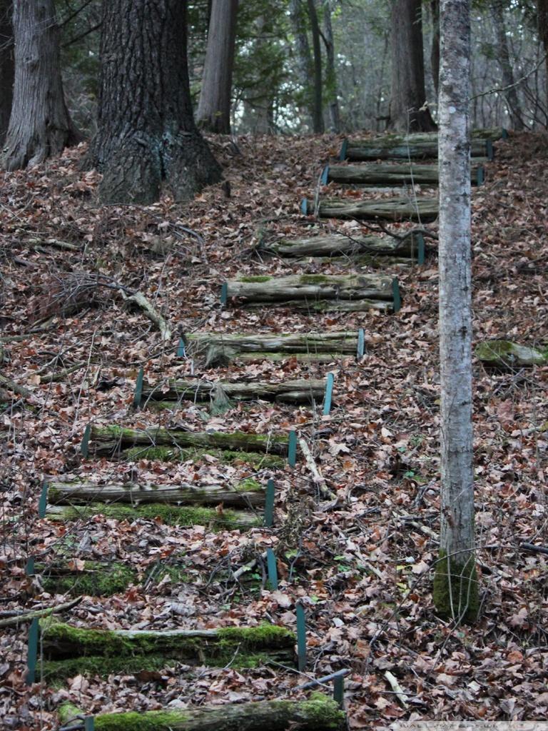 Steps Wallpapers - Top Free Steps Backgrounds - WallpaperAccess