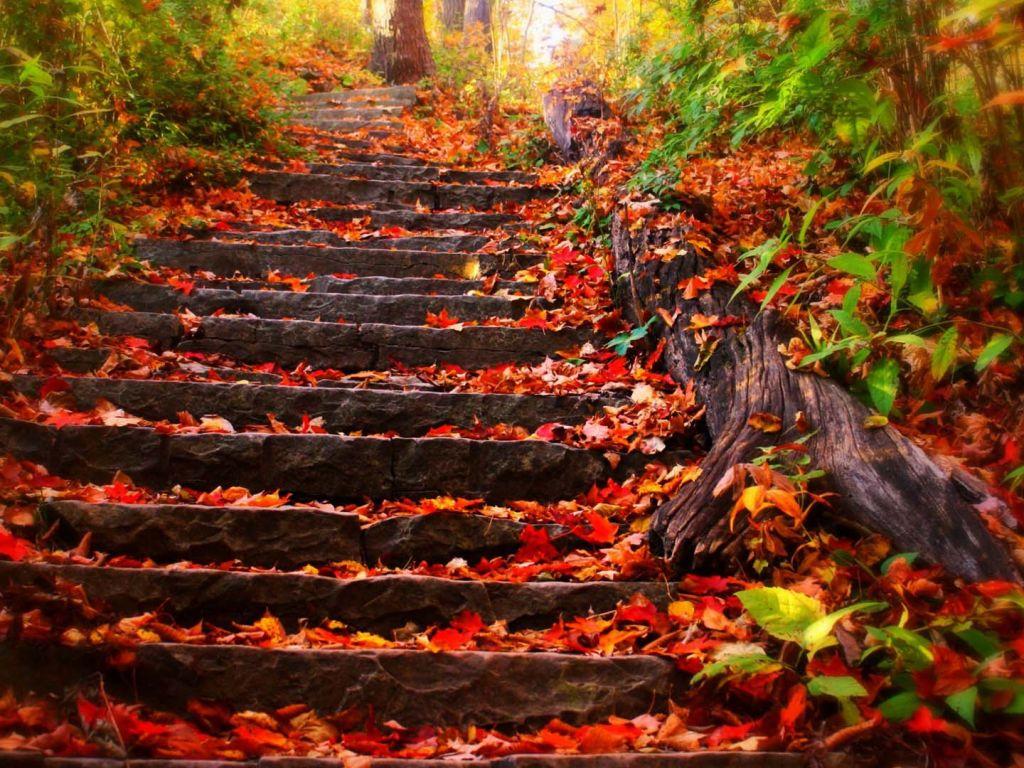 Steps Wallpapers - Top Free Steps Backgrounds - WallpaperAccess