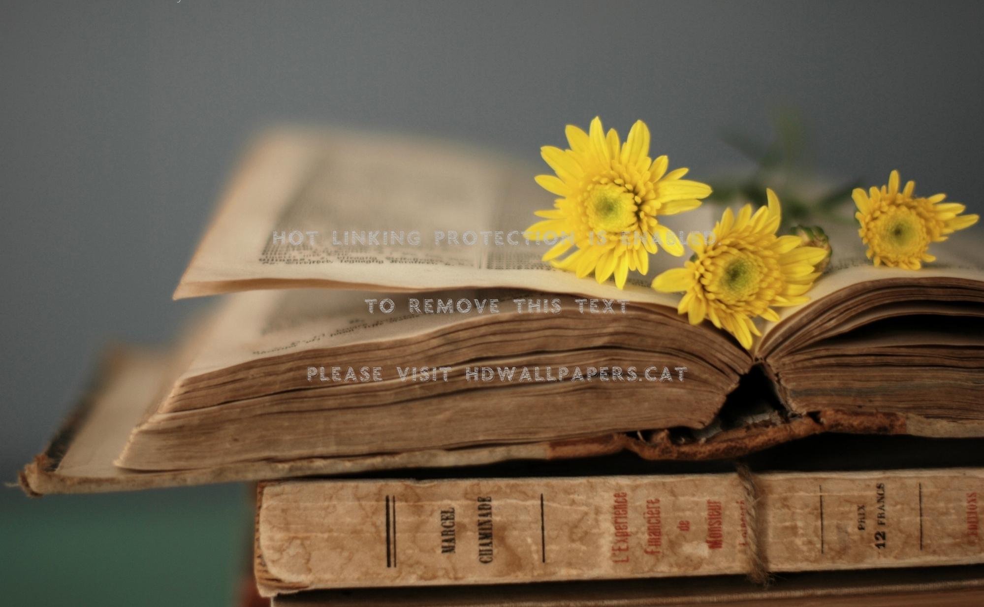 Book Flower Wallpapers - Top Free Book Flower Backgrounds - WallpaperAccess