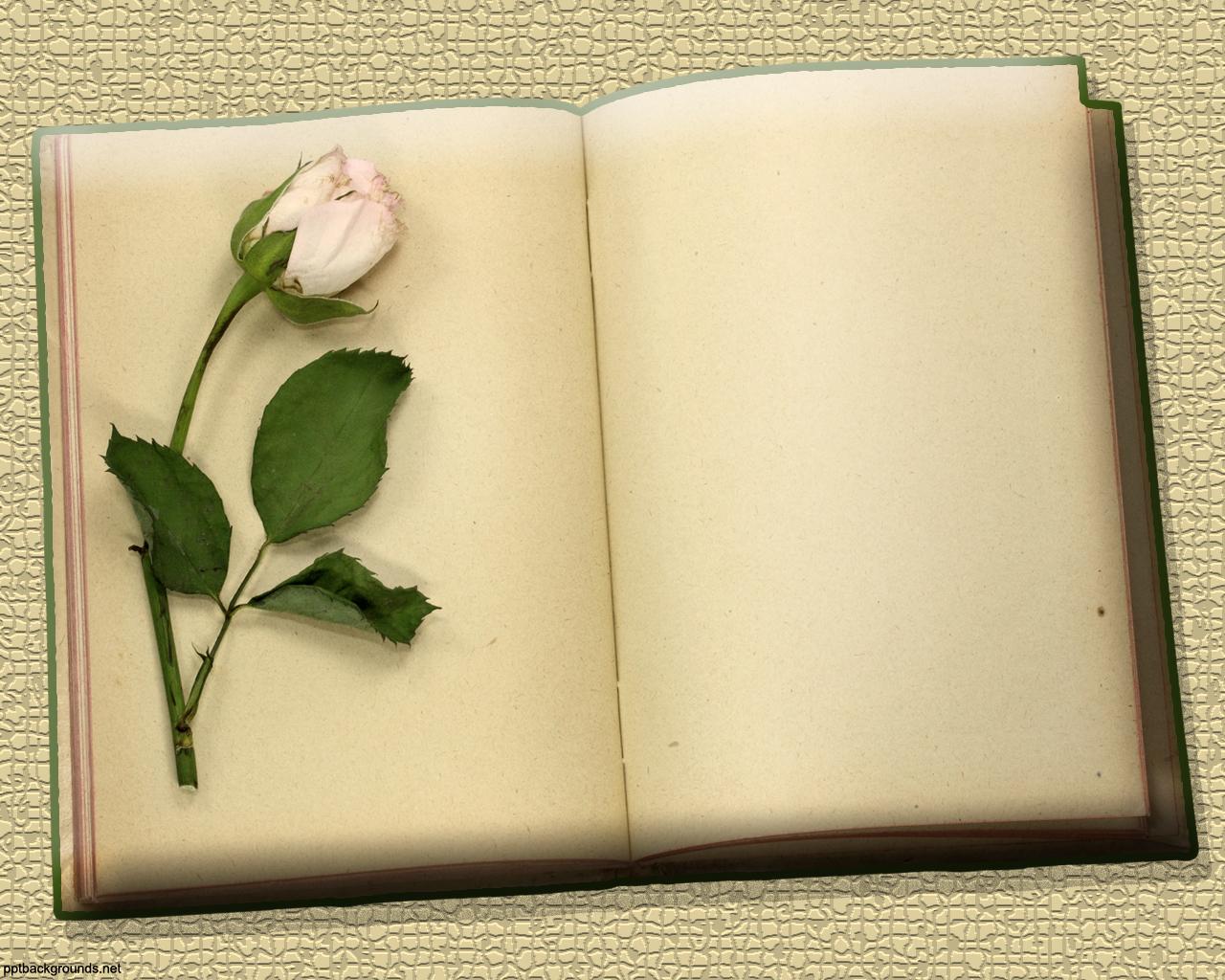 Book Flower Wallpapers - Top Free Book Flower Backgrounds - WallpaperAccess