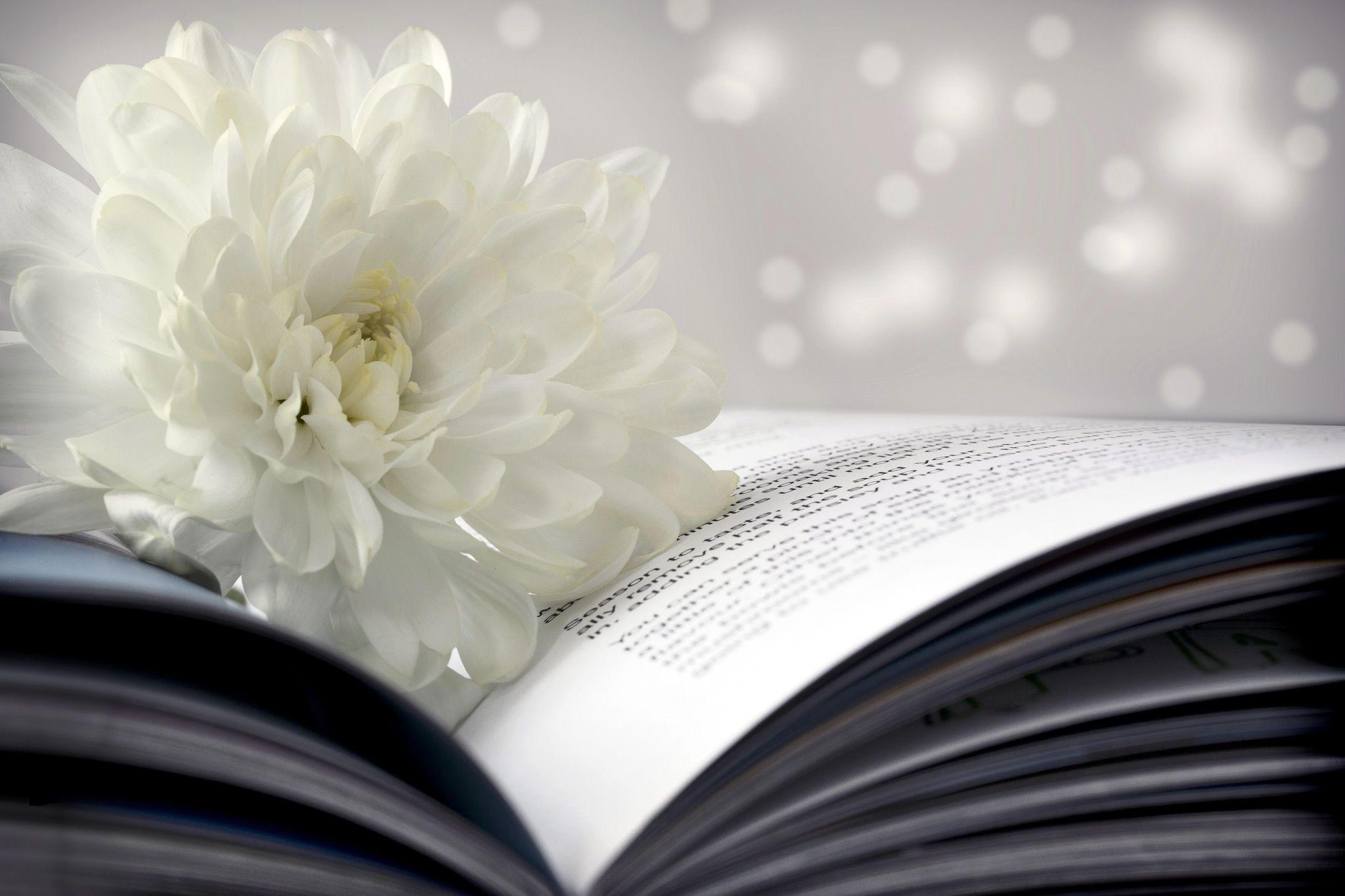 Book Flower Wallpapers - Top Free Book Flower Backgrounds - WallpaperAccess