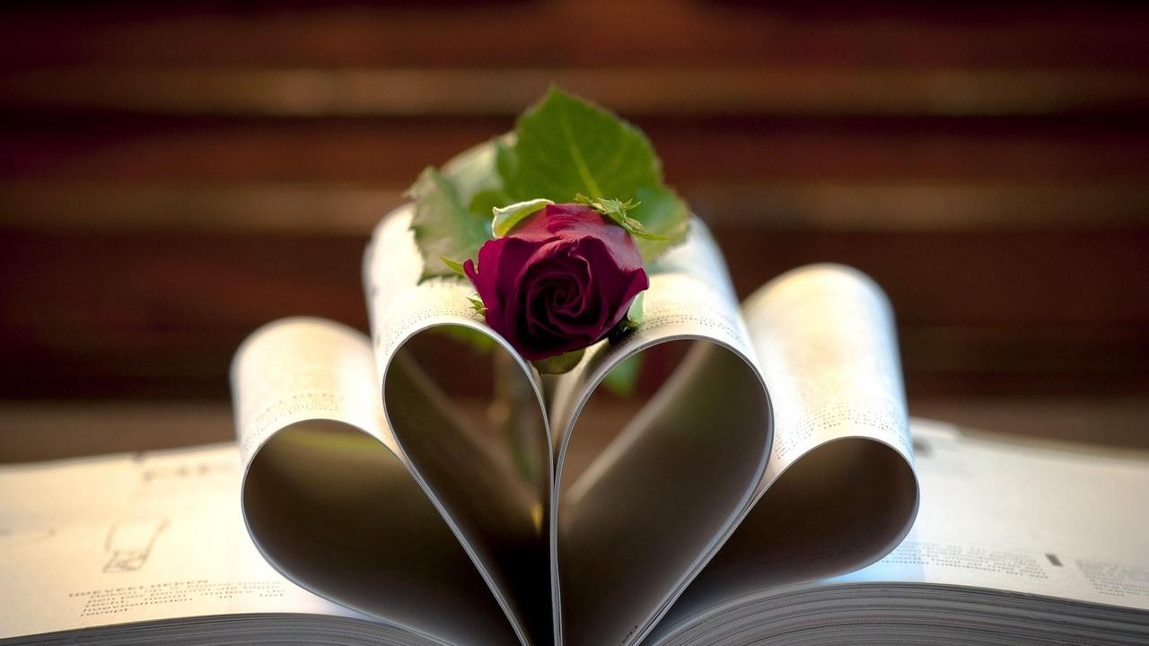 Book Flower Wallpapers - Top Free Book Flower Backgrounds - WallpaperAccess