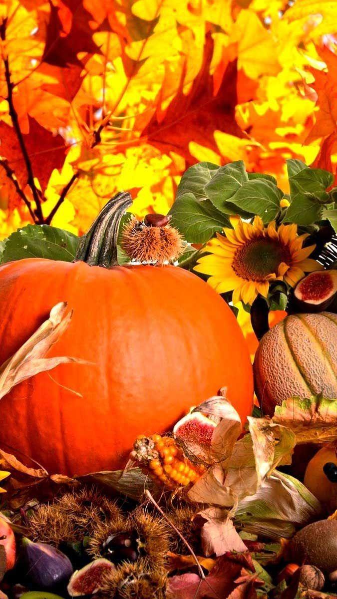 Dark Thanksgiving Wallpapers - Top Free Dark Thanksgiving Backgrounds ...