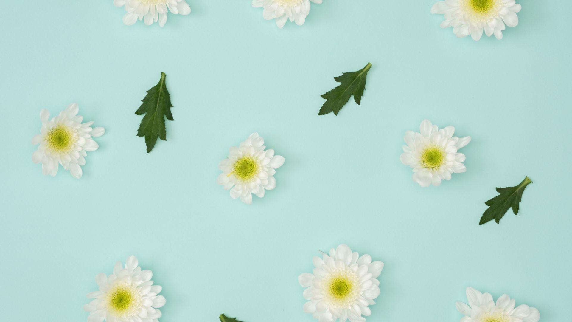 Minimal Flower Wallpapers - Top Free Minimal Flower Backgrounds ...