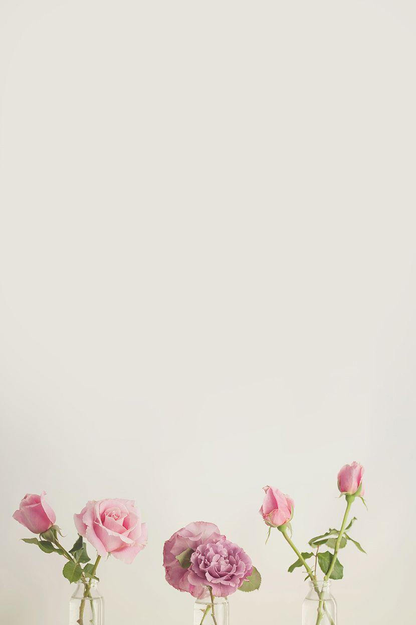 Minimal Flower Wallpapers - Top Free Minimal Flower Backgrounds ...