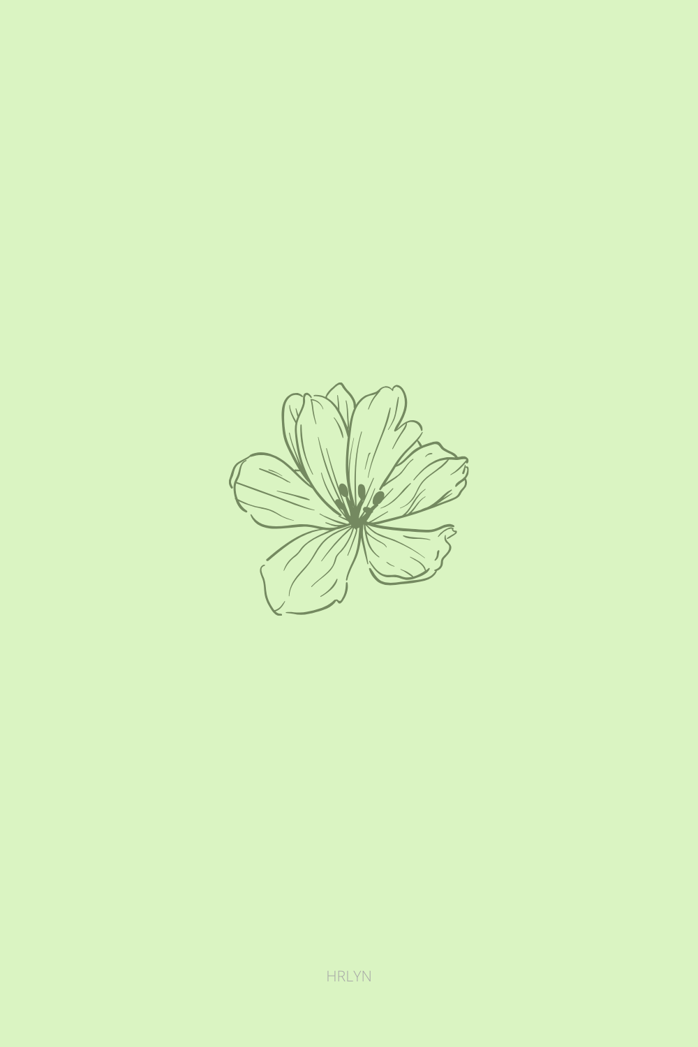 Minimal Flower Wallpapers - Top Free Minimal Flower Backgrounds ...