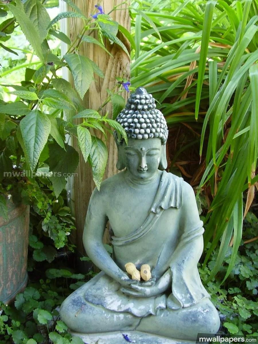 Green Buddha Wallpapers - Top Free Green Buddha Backgrounds ...