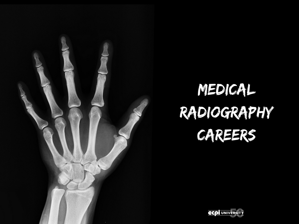 Radiologic Technologist Wallpapers - Top Free Radiologic Technologist ...