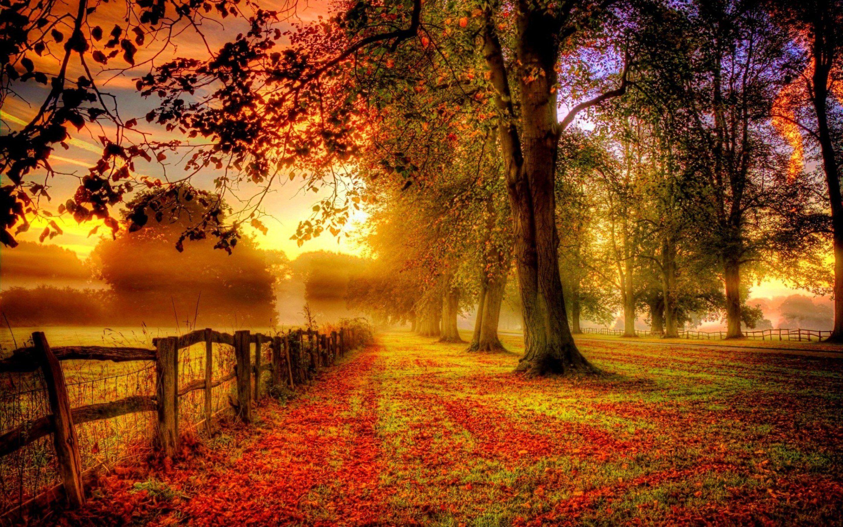 Autumn Sunset Panoramic Wallpapers - Top Free Autumn Sunset Panoramic ...