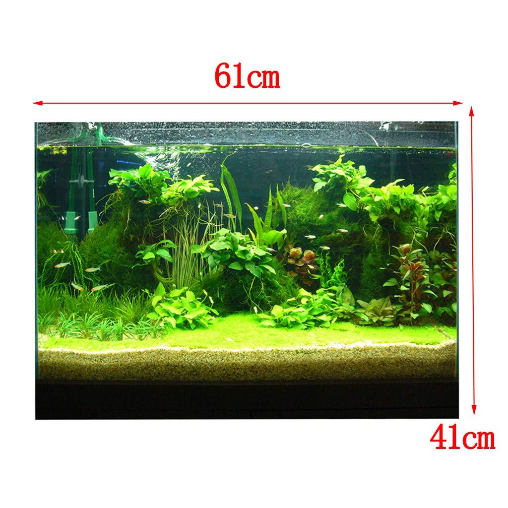 Vivarium Wallpapers - Top Free Vivarium Backgrounds - WallpaperAccess