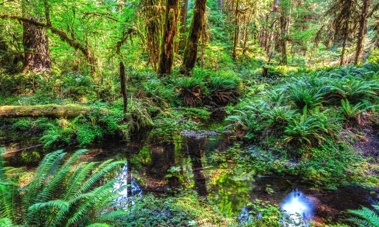 10K Resolution Wallpapers - Top Free 10K Resolution Backgrounds ...