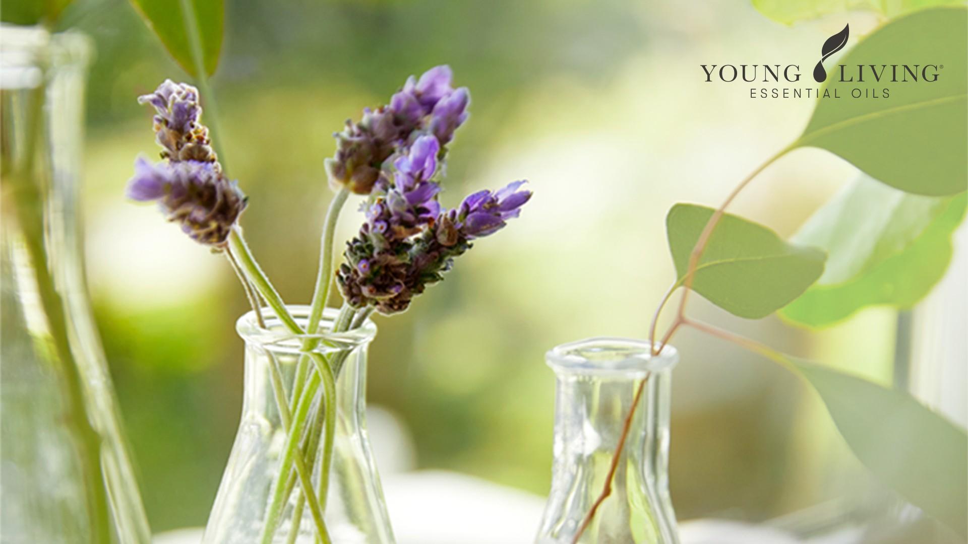 Essential Oil Wallpapers - Top Free Essential Oil Backgrounds ...