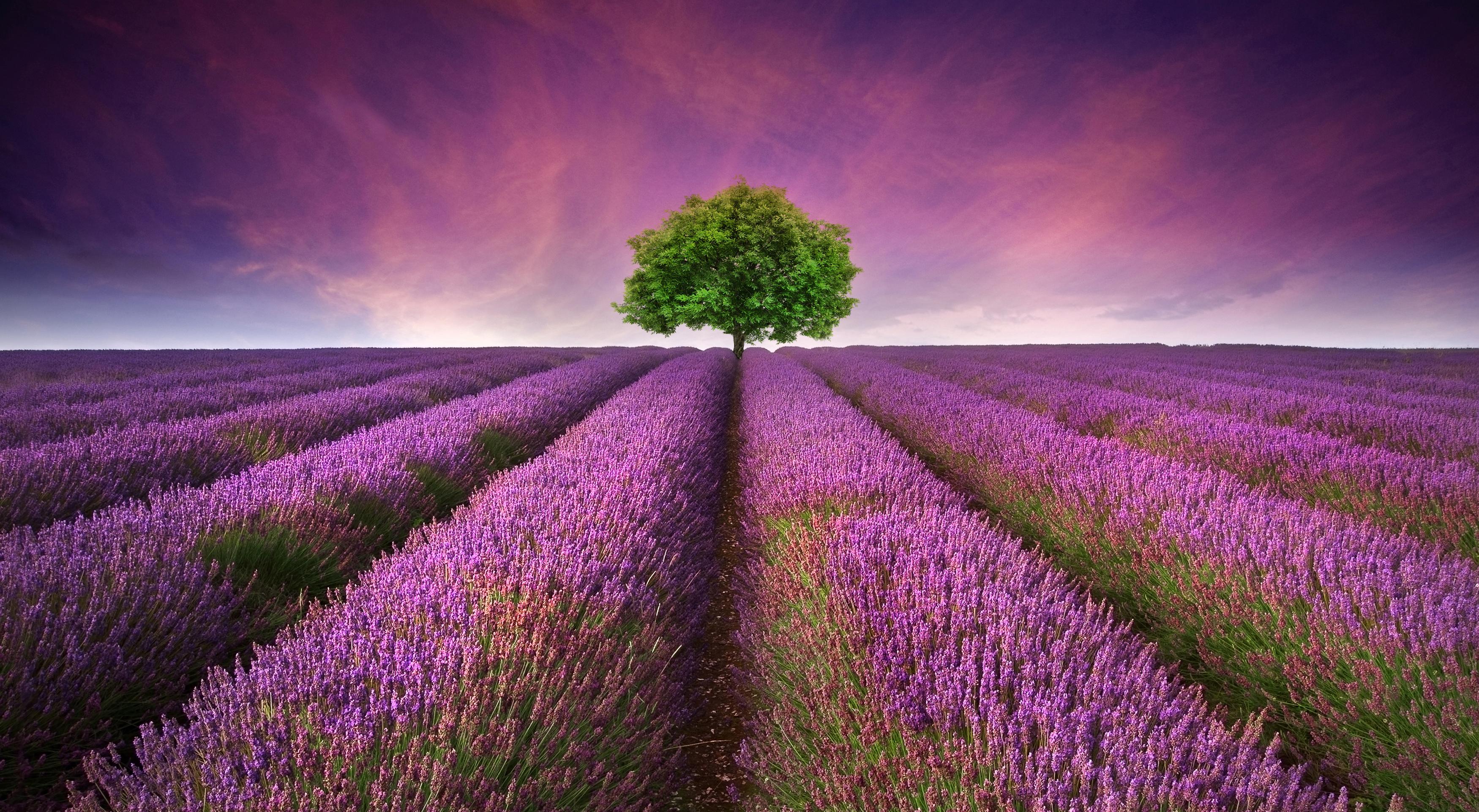 Essential Oil Wallpapers - Top Free Essential Oil Backgrounds ...