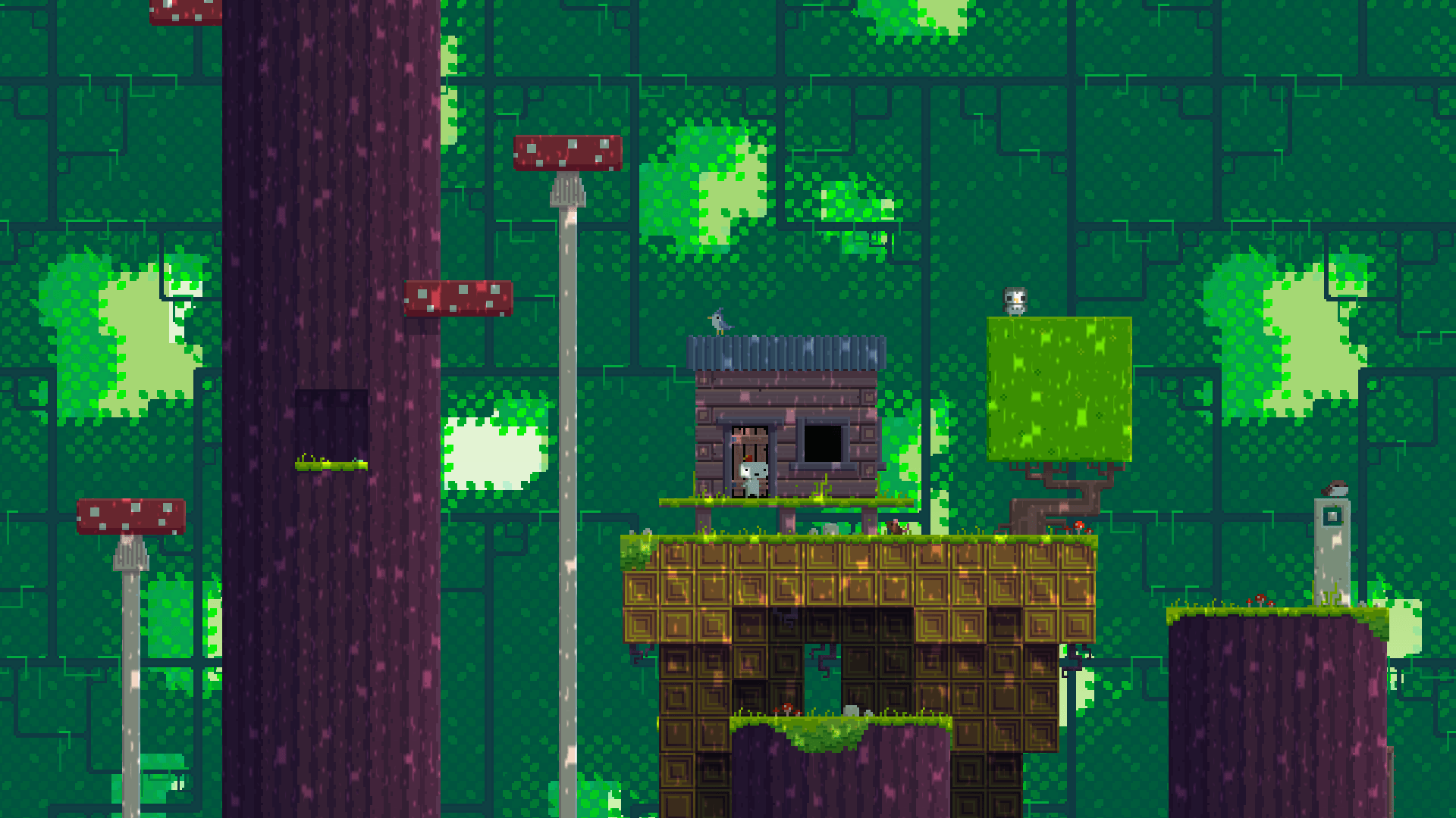 Fez Wallpapers - Top Free Fez Backgrounds - WallpaperAccess