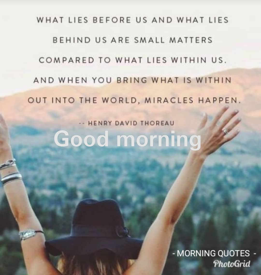 Good Vibes Quotes Wallpapers Top Free Good Vibes Quotes Backgrounds Wallpaperaccess