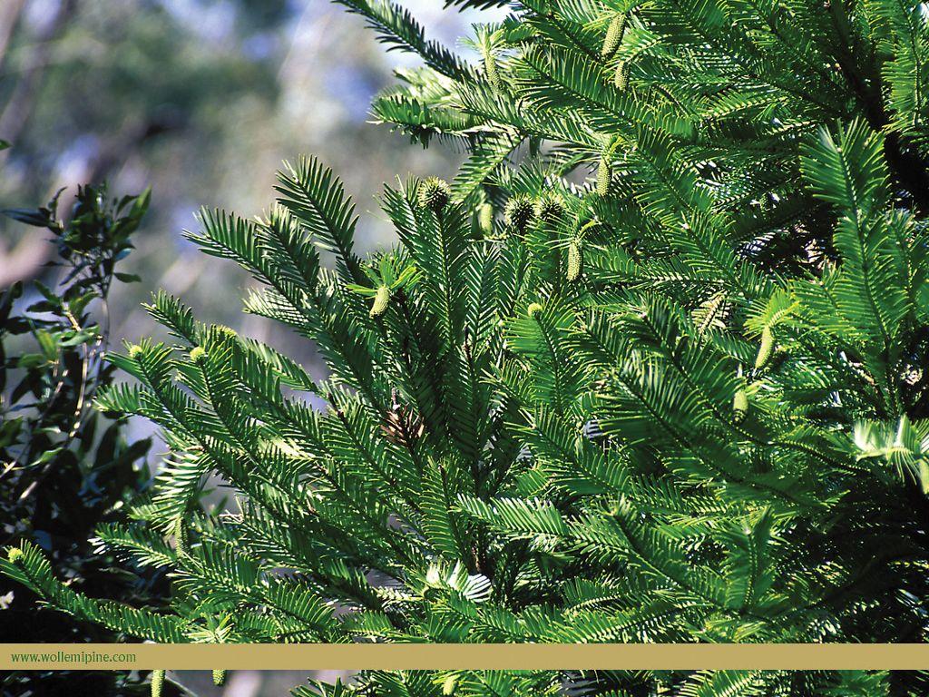 1Mb Wallpapers - Top Free 1Mb Backgrounds - WallpaperAccess