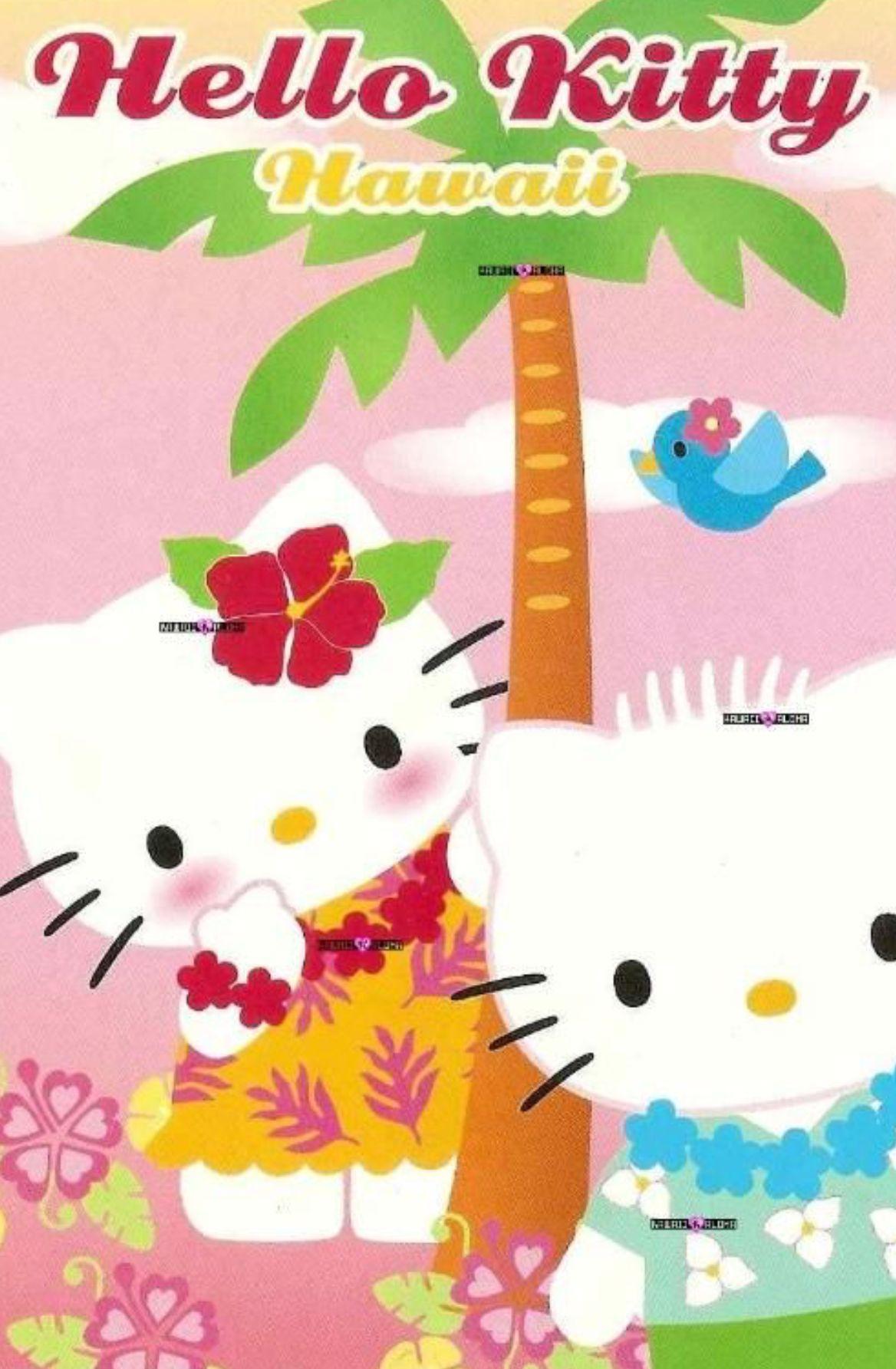 Hello Kitty Hawaii Wallpapers - Top Free Hello Kitty Hawaii Backgrounds ...