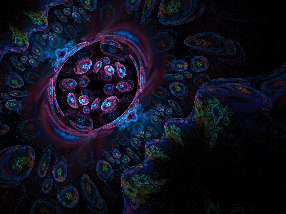 Mitosis Wallpapers - Top Free Mitosis Backgrounds - WallpaperAccess