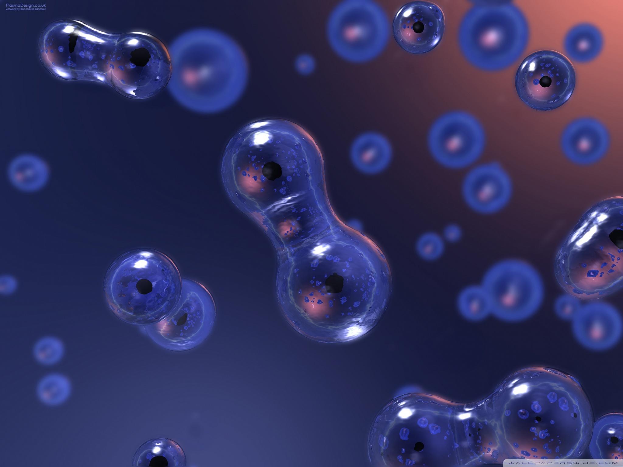 Mitosis Wallpapers - Top Free Mitosis Backgrounds - WallpaperAccess