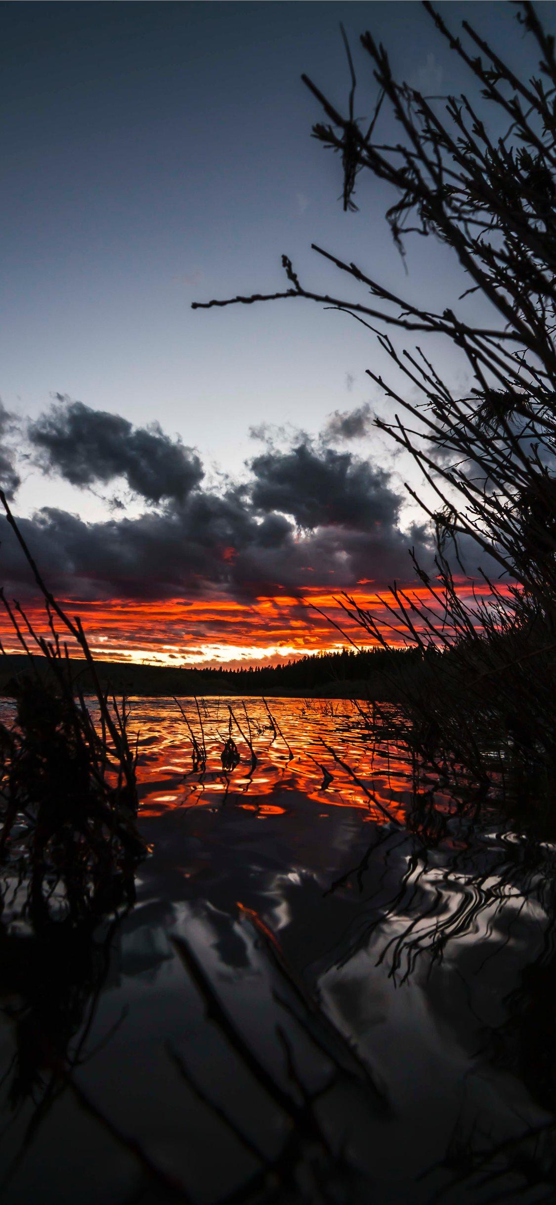 Montana iPhone Wallpapers - Top Free Montana iPhone Backgrounds ...