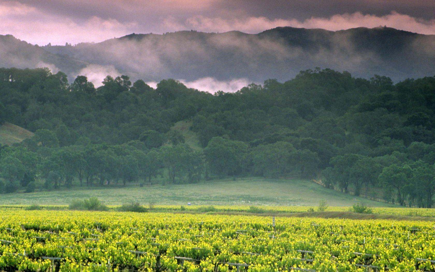 Spring Storm Wallpapers - Top Free Spring Storm Backgrounds ...