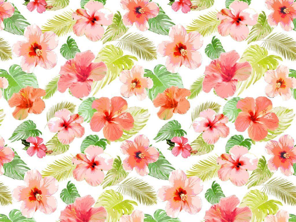 Awesome Hawaiian Flowers Wallpapers - Top Free Awesome Hawaiian Flowers ...