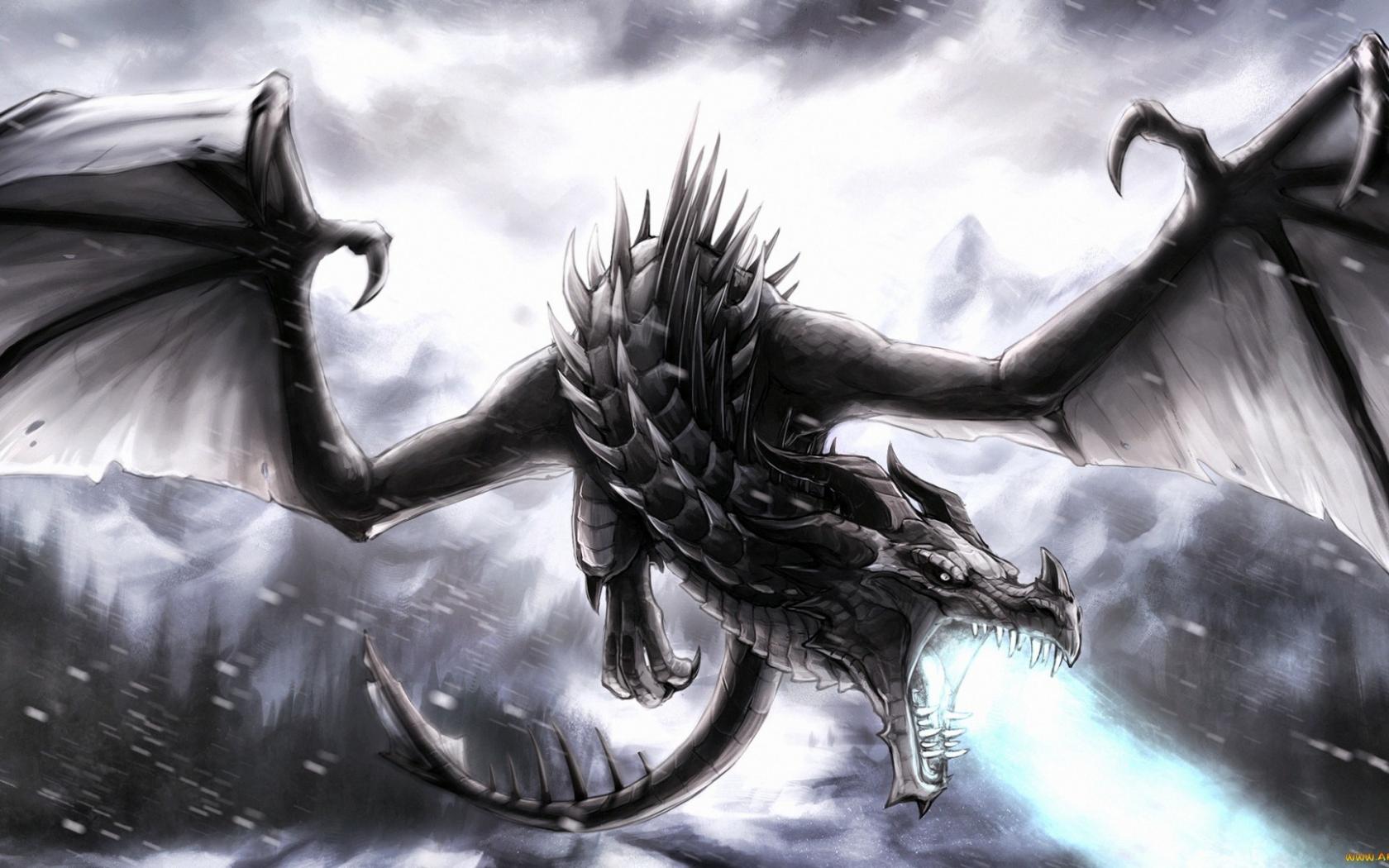 Gray Dragon Wallpapers - Top Free Gray Dragon Backgrounds - WallpaperAccess