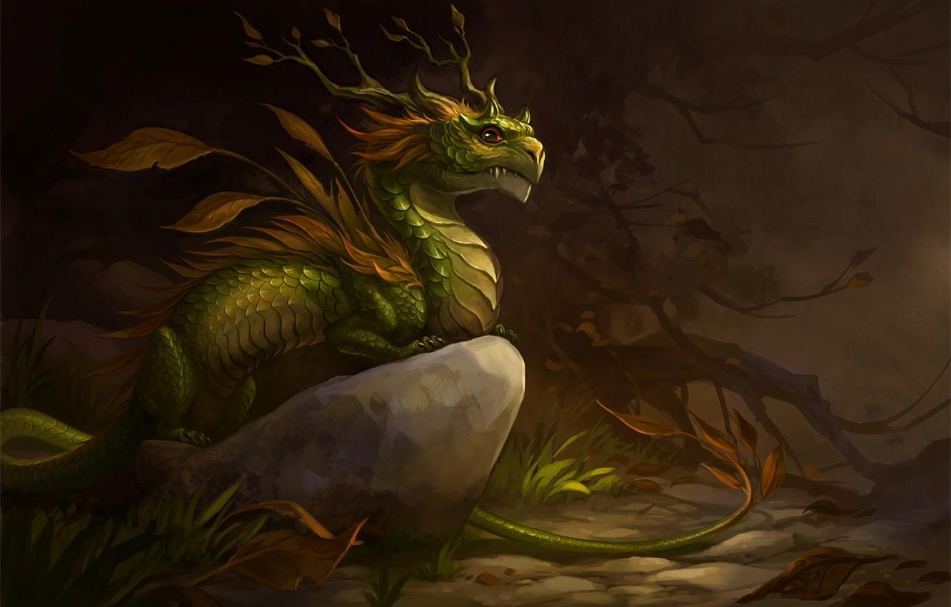 Autumn Dragon Wallpapers - Top Free Autumn Dragon Backgrounds ...