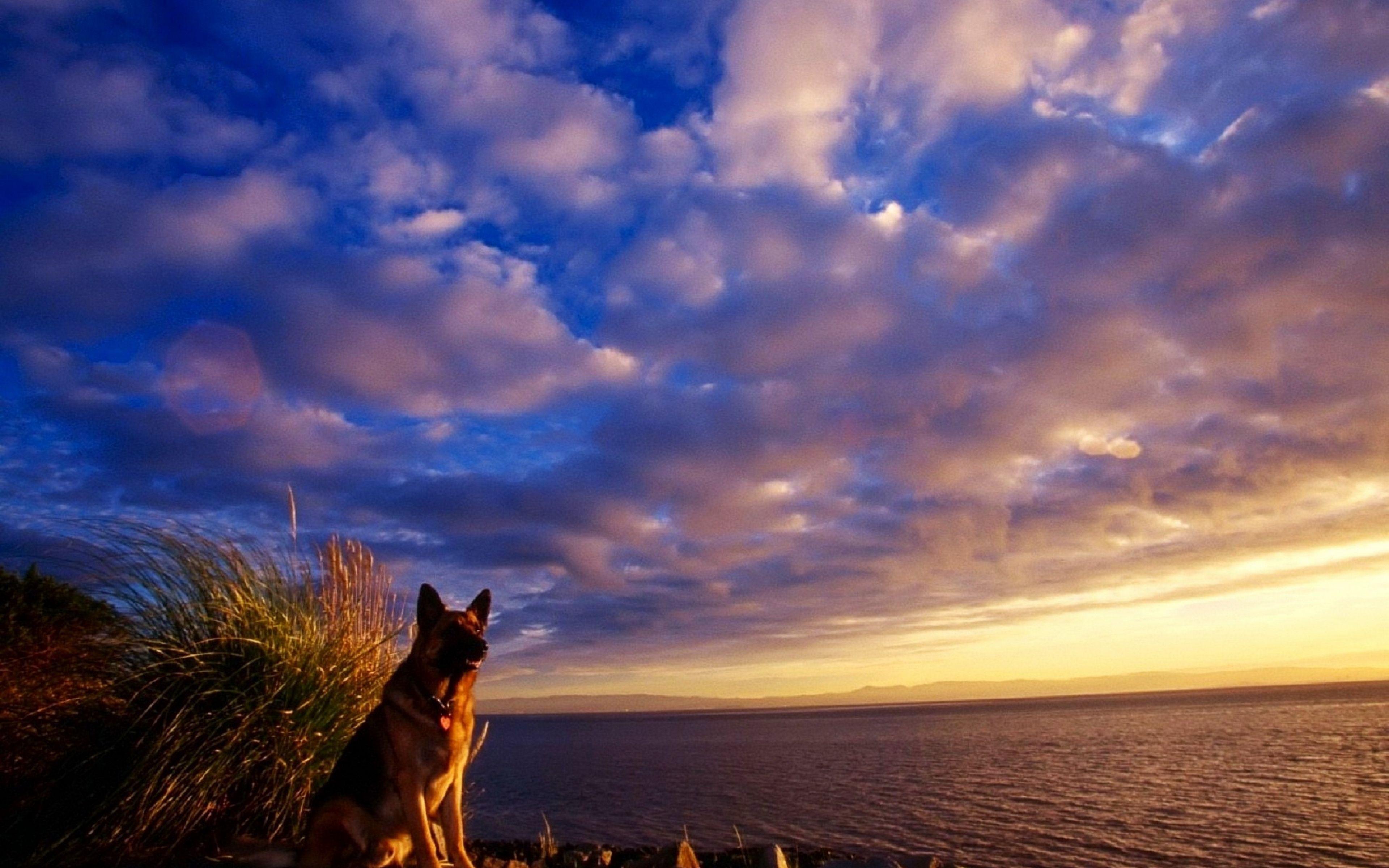 24K Ultra High Res Wallpapers - Top Free 24K Ultra High Res Backgrounds ...