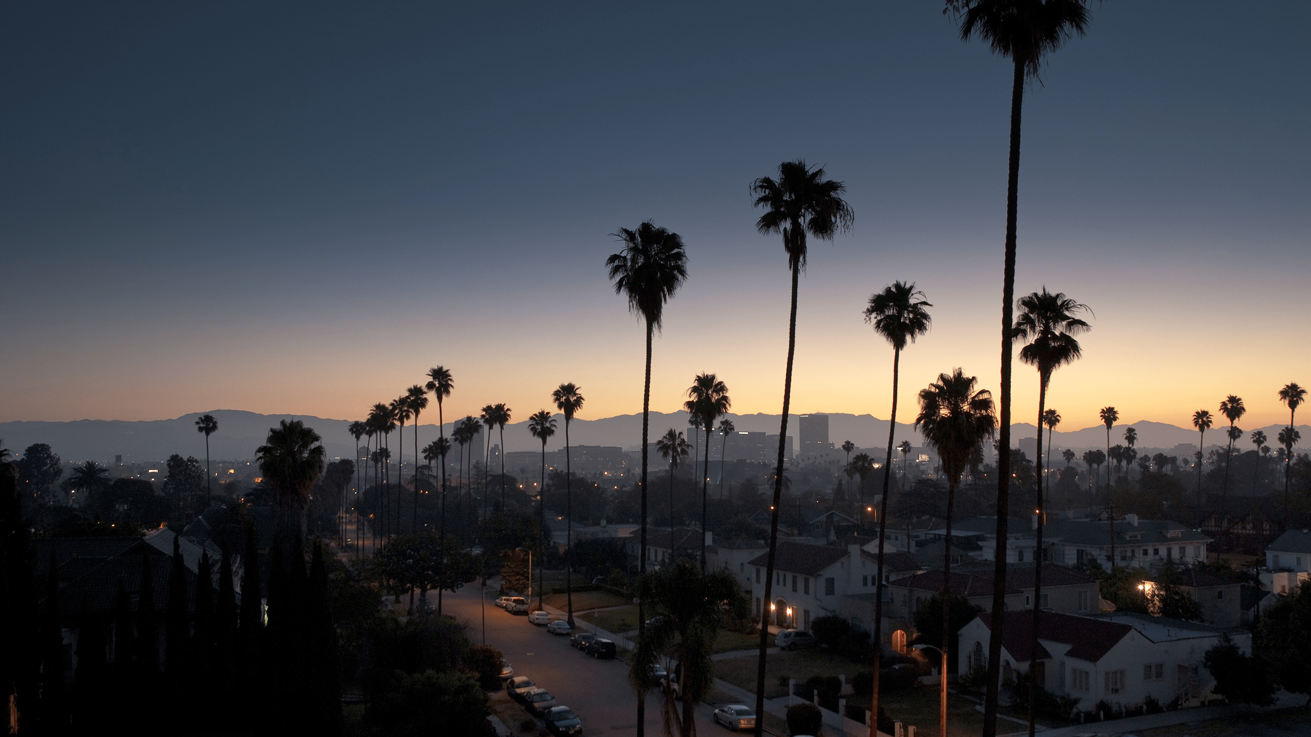 California Palm Trees Sunset Wallpapers - Top Free California Palm ...