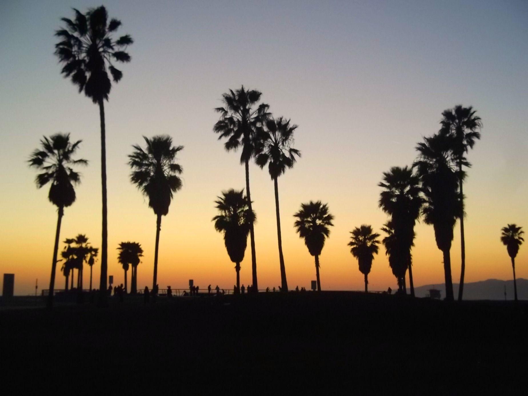 California Palm Trees Sunset Wallpapers - Top Free California Palm ...