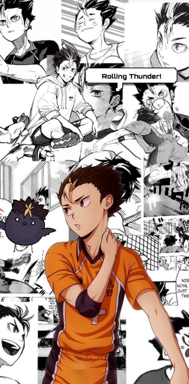 Noya Wallpapers - Top Free Noya Backgrounds - WallpaperAccess