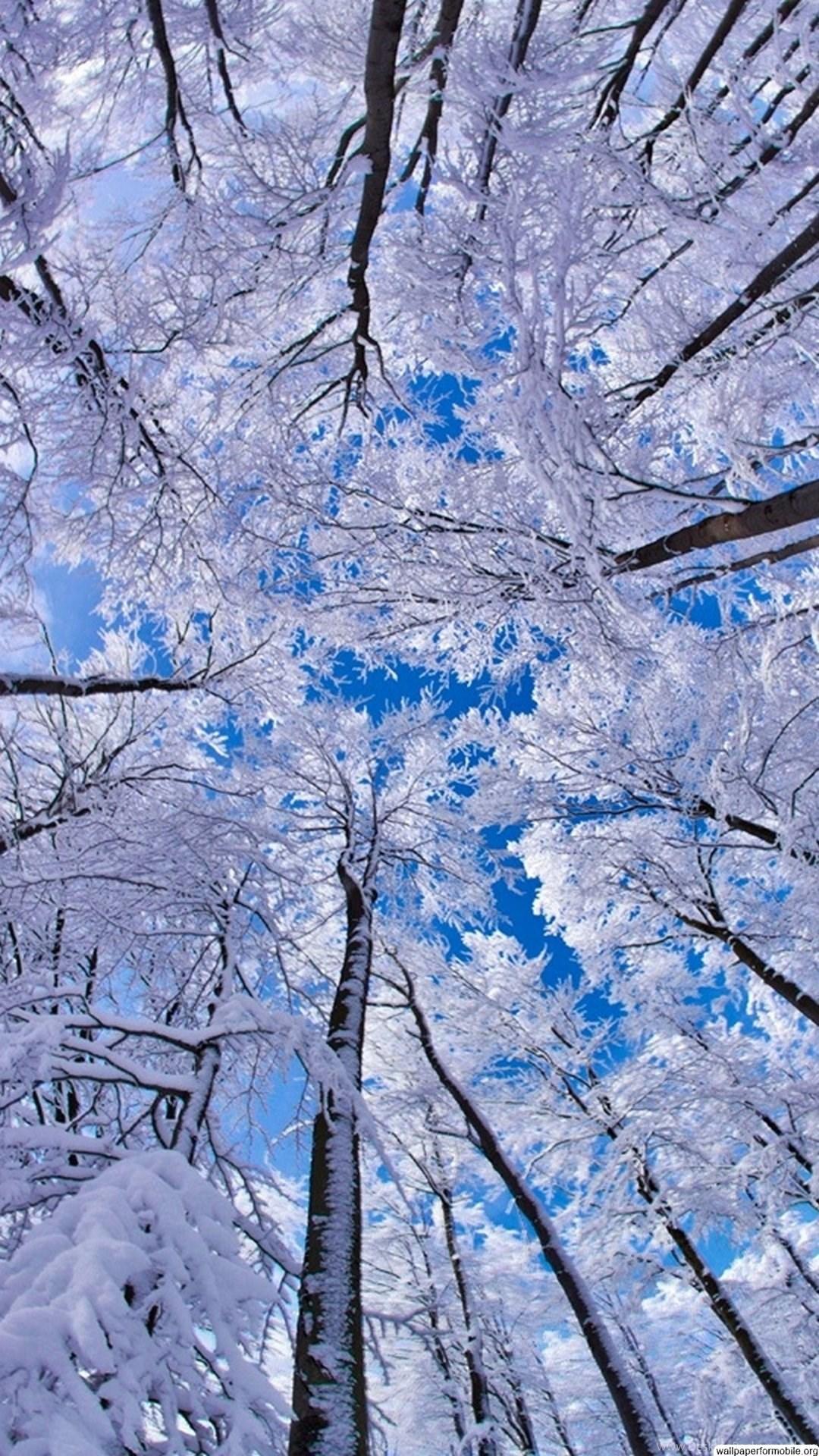 Mobile Winter Wallpapers - Top Free Mobile Winter Backgrounds ...